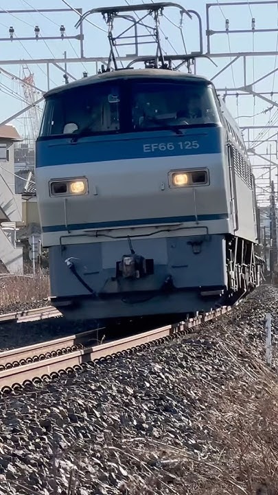 EF66 125 #電気機関車 #貨物列車 - YouTube