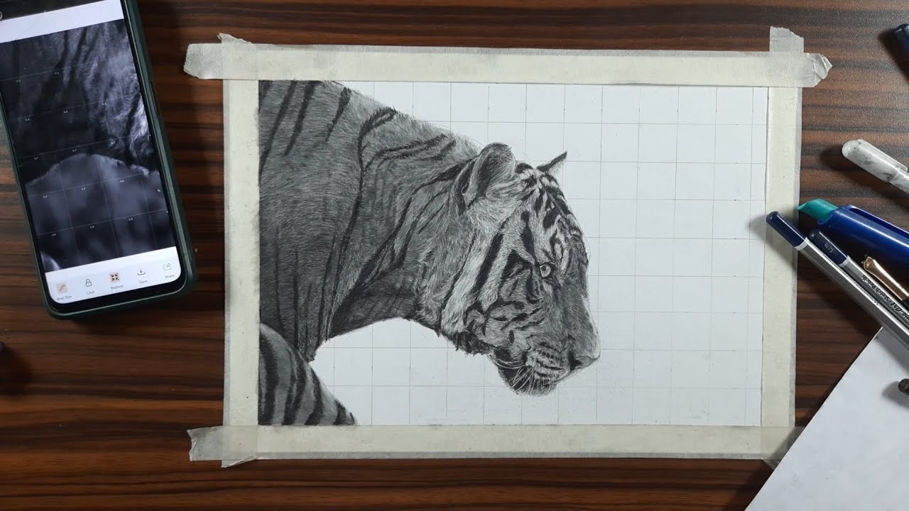 drawing a TIGER 🐯 | photo realistic part 3 Shading - YouTube