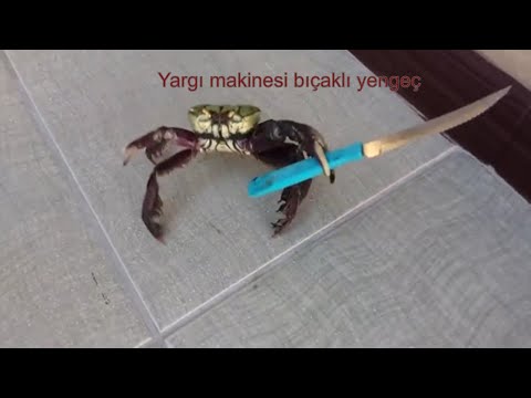 Uyuşturucu baronu bıçaklı yengeç polis baskınından kaçışı