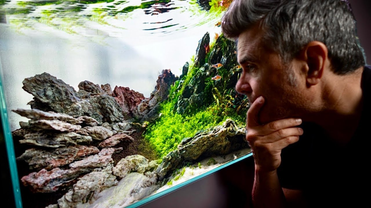 Master the Art of Aquascaping | Jeff Miotke - YouTube