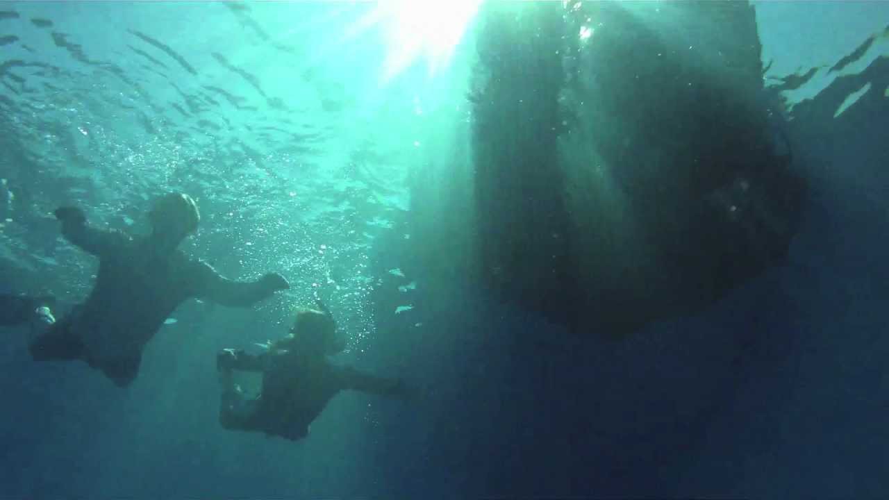 Shark diving in the Gulf of Mexico | 8-13-12 | 1080p | Naples, FL SCUBA ...