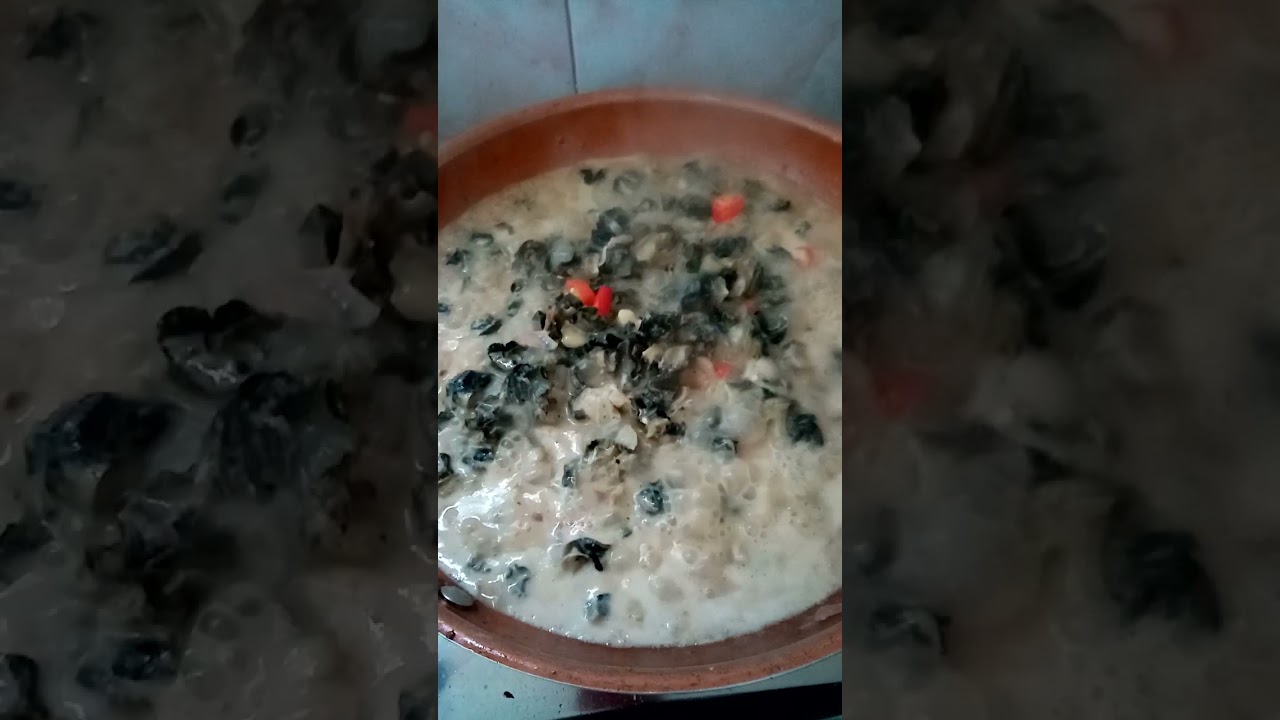 Pinoy food #shorts Seafood Shell with coconut milk - YouTube