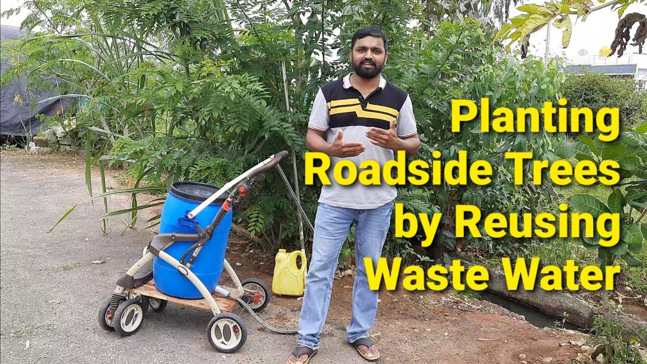 Grow more Trees | Waste Water Reuse / Planting Road Side Trees by ...