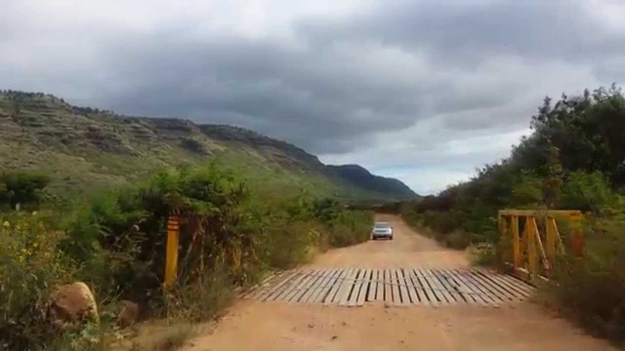 Driving on remote dirt road on Kauai - the road to Polihale Beach - YouTube
