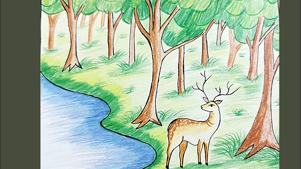 How to draw forest scene step by step//Easy forest drawing. - YouTube