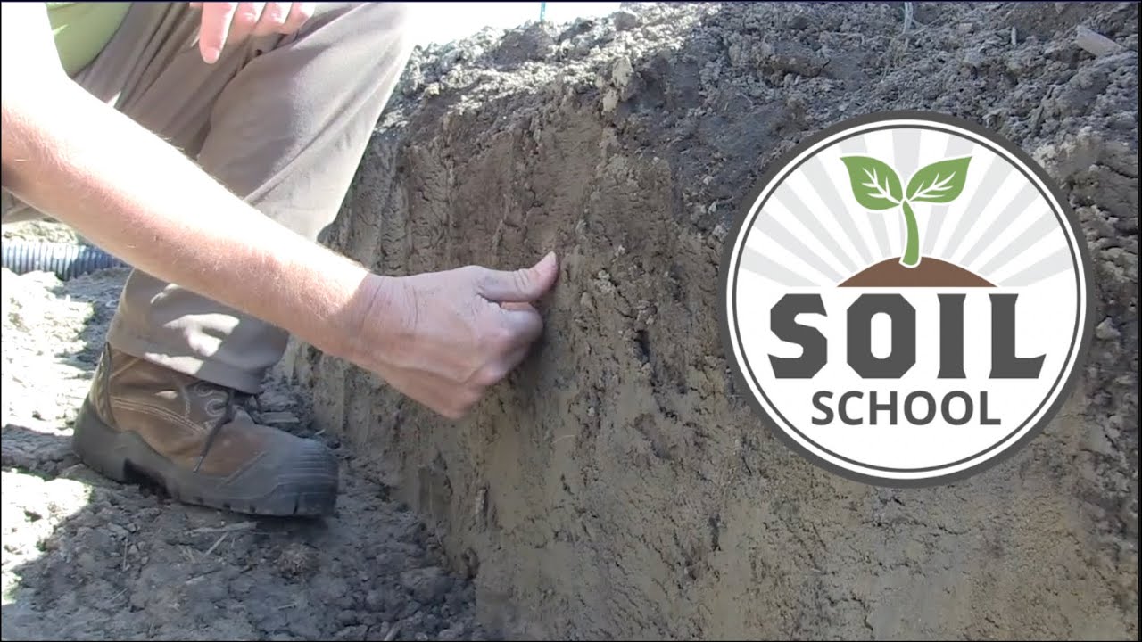 Soil School: How clay content impacts K availability - YouTube