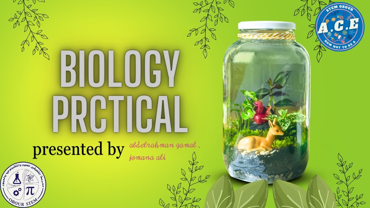 biology Practical ll Grade 10 ll Second semester II ACE_STEM Obour ...
