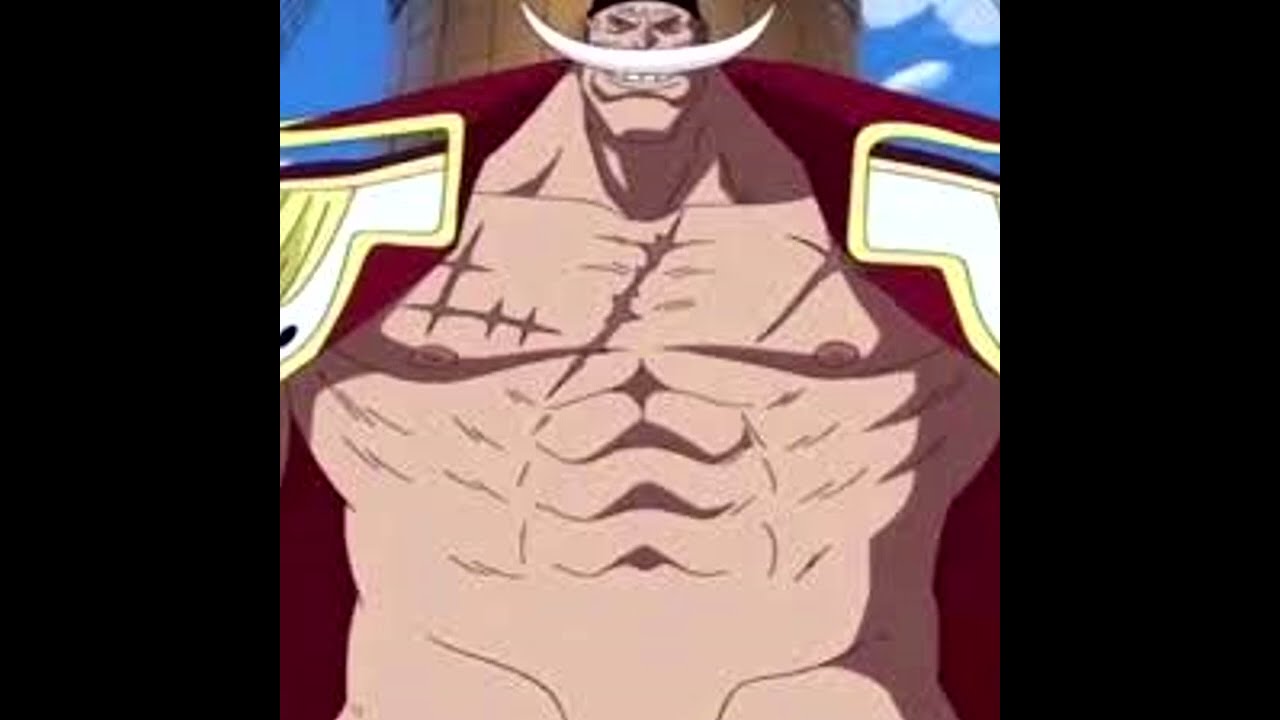 The one piece is real! meme - YouTube