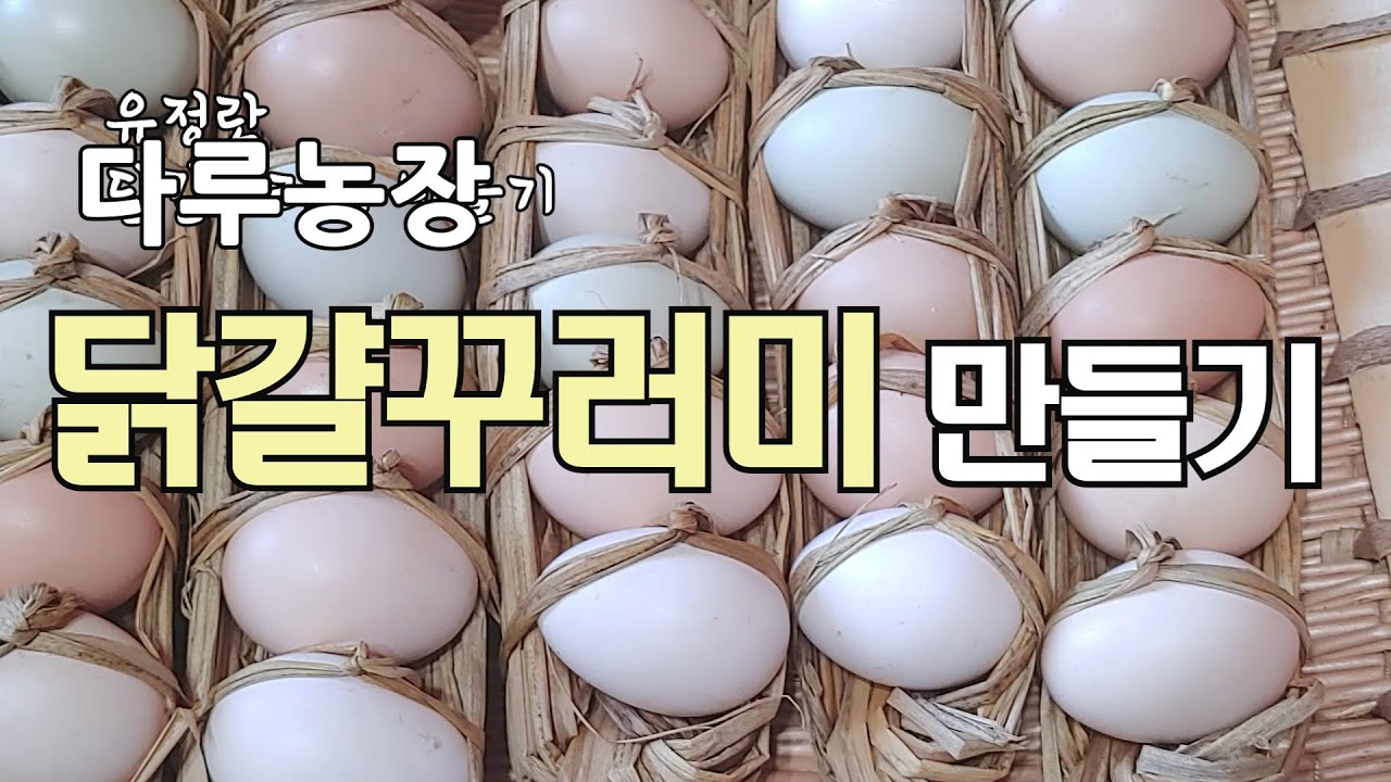 17 유정란 달걀꾸러미 만들기 Youtube