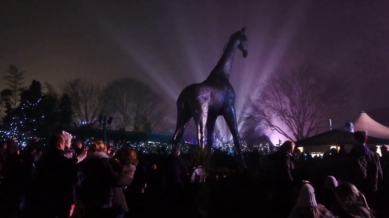 Colchester zoo light show - YouTube