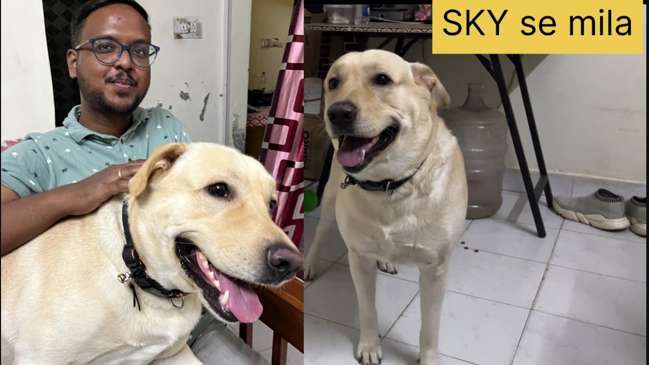 Aaj humne SKY Dog se mila - YouTube