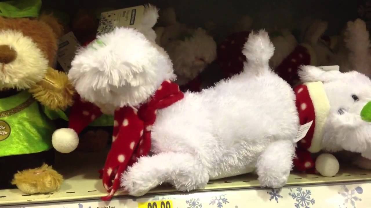 Dancing Singing Farty Farting Dog - YouTube