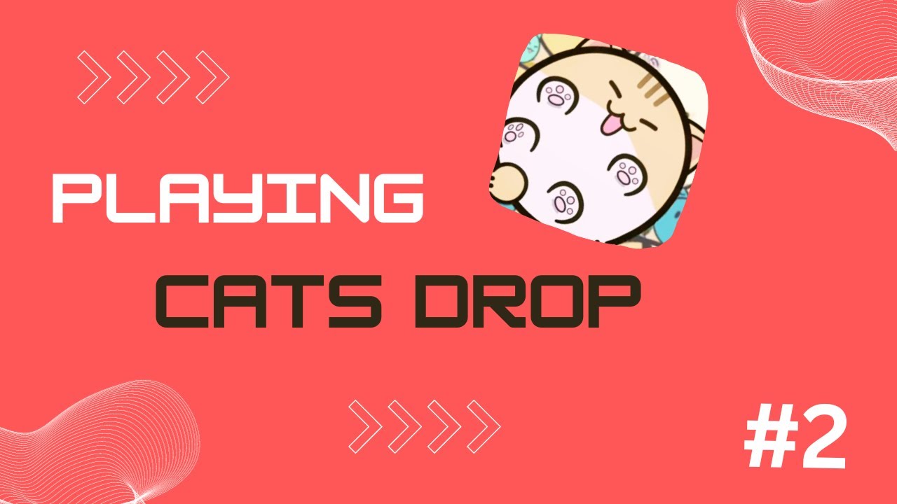 Can I beat my own score in CATS DROP ? - YouTube