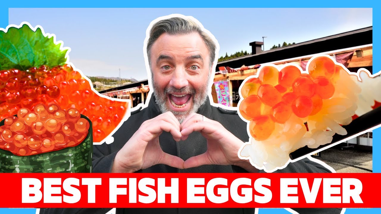 Stunning Fish Eggs & Seafood Bowls In North Japan - YouTube
