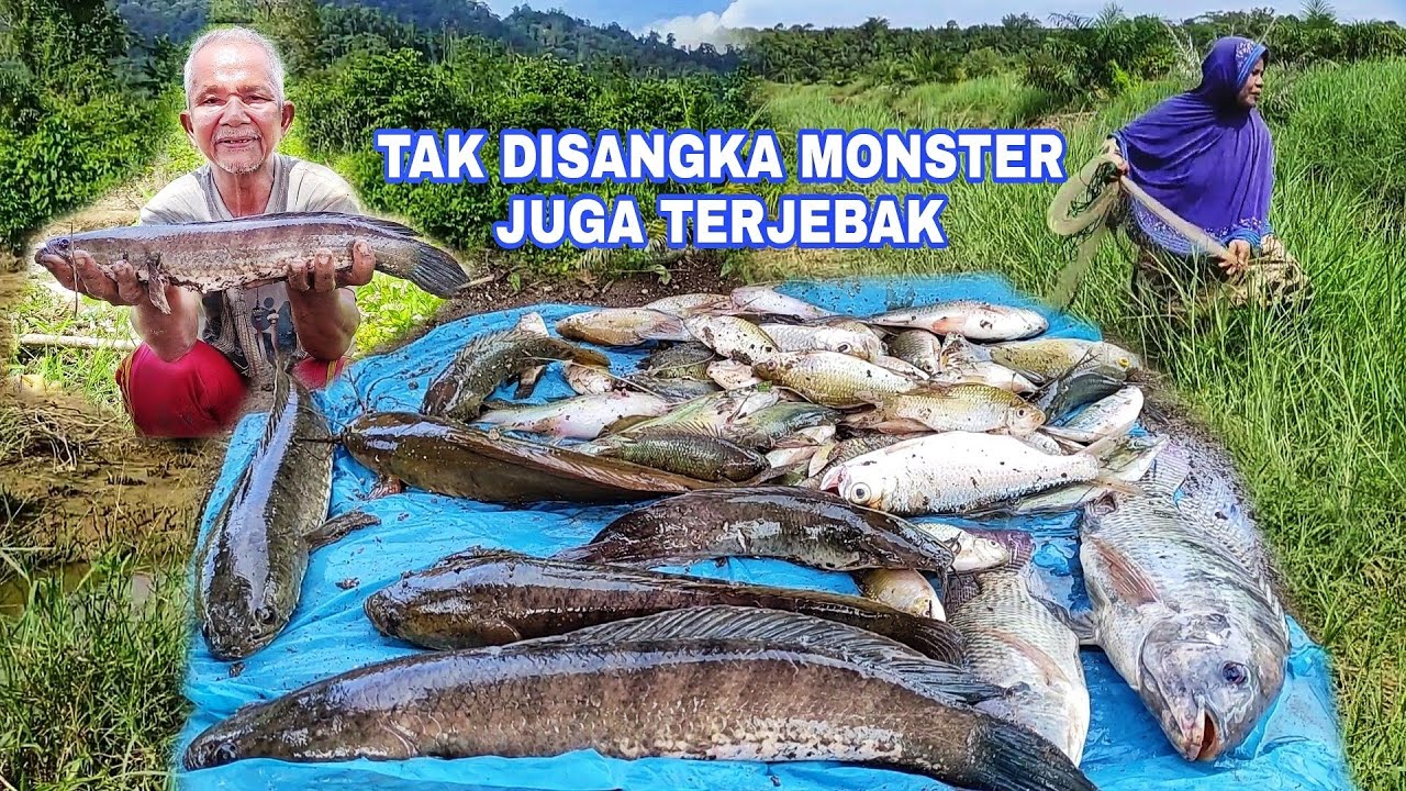 TAK DISANGKA MONSTER JUGA TERJEBAK. - YouTube