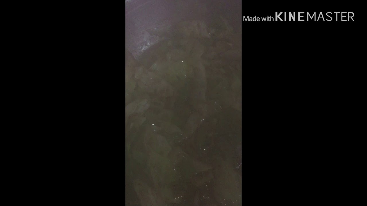 Vlogger#02 march7 fried rice simple At masarap - YouTube