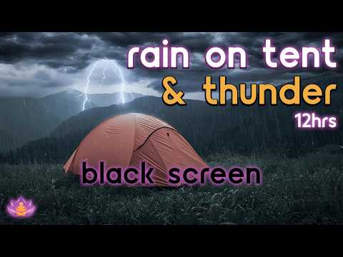 [Black Screen] Safe From Storm | Rain on Tent with Thunder | Sleep Rain Sounds
