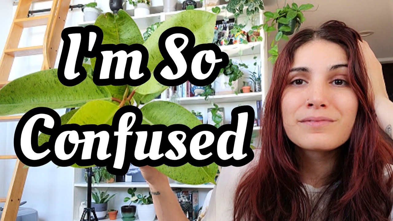 SURPRISING PLANT MAIL!! the most confusing & exciting mail I've ever ...