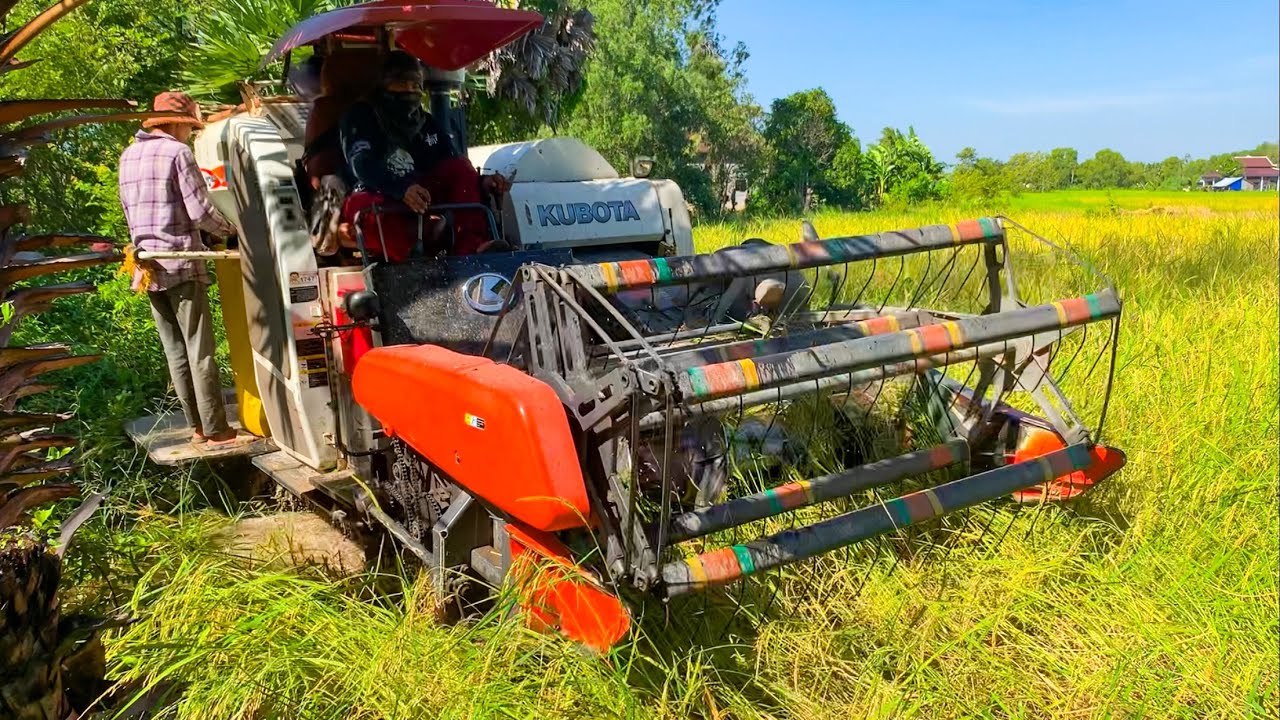 Modern !! machines harvest rice quickly, especially high-tech # ...