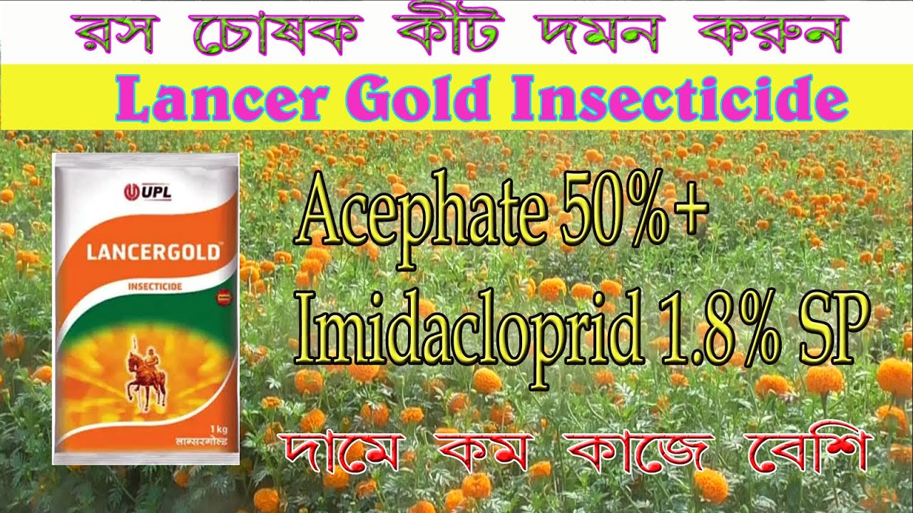 রস চোষক কীট দমন করতে কম খরচে ভালো কীটনাশক , UPL Lancer Gold Insecticide ...