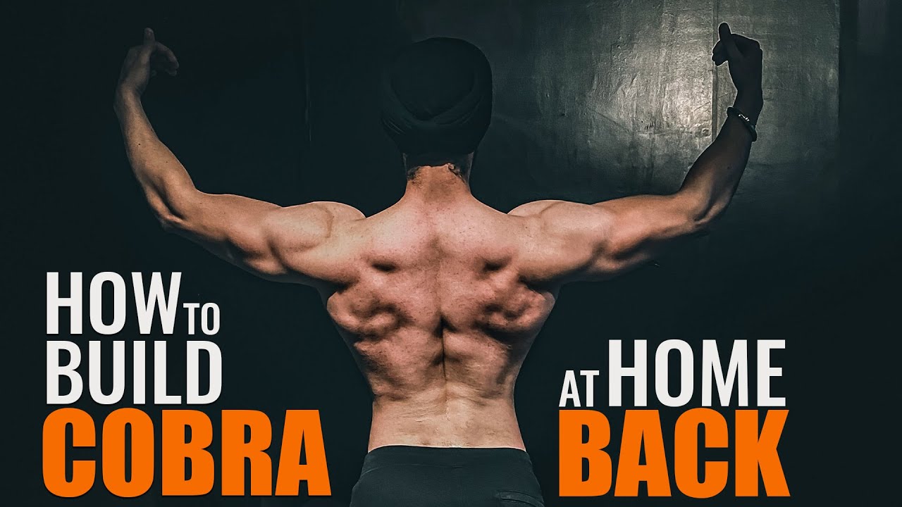 6 Exercises for BIGGER BACK Complete Back HOME Workout - YouTube