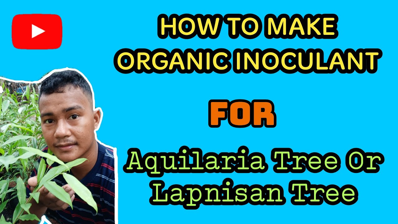 How to Make Organic Inoculant With Ratio Of the Ingredients - YouTube