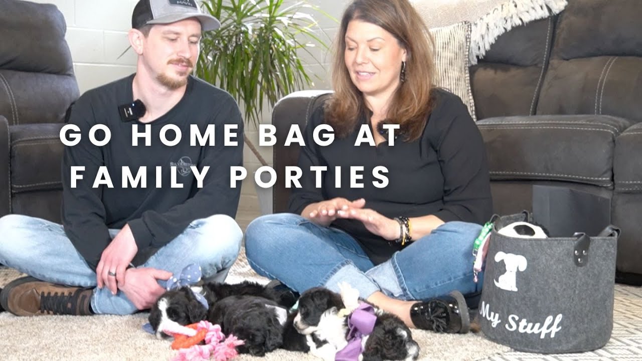 What ALL Goes Into Our Go Home Bag at Family Porties?! - YouTube