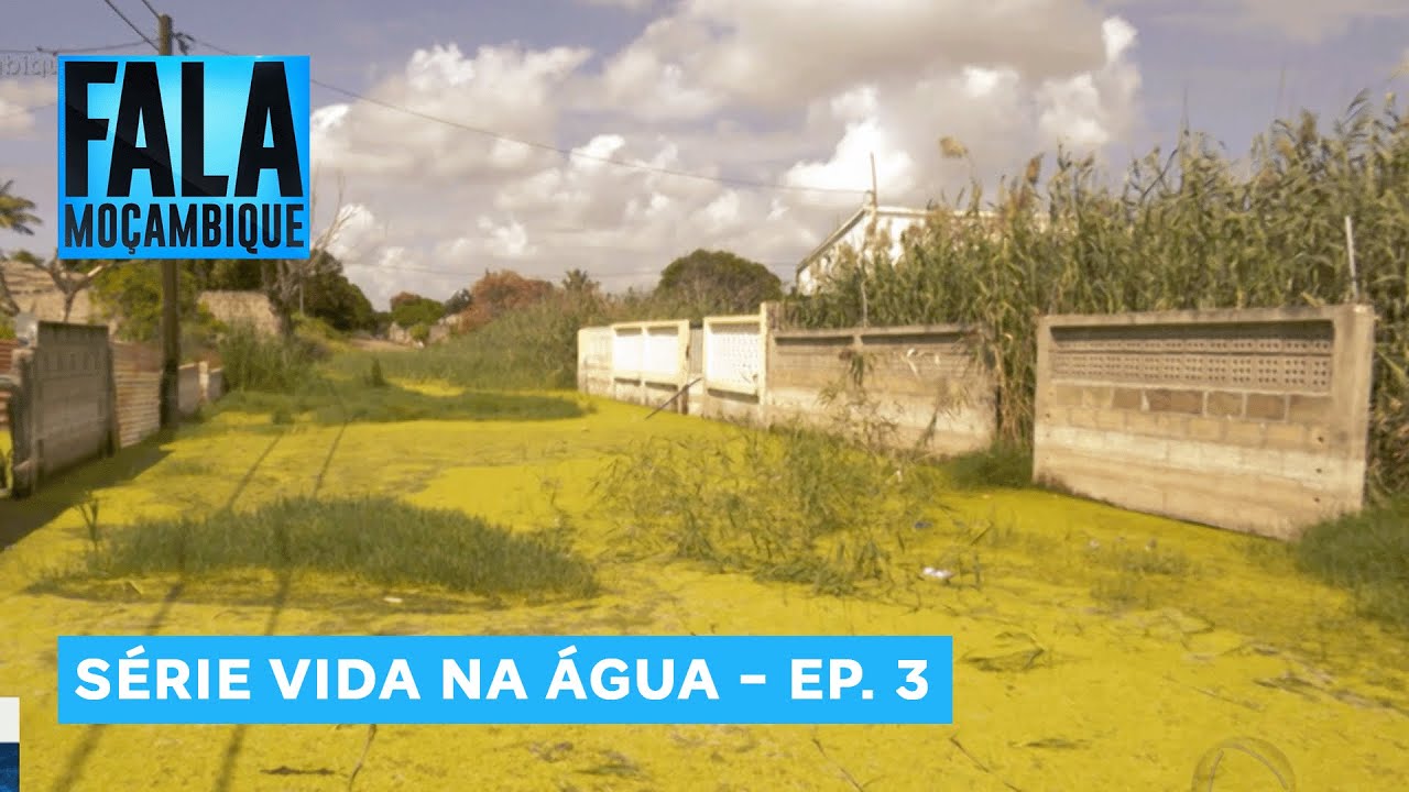 #VidaNaÁgua - Ep. 3: Aumentam vastas área residenciais tomadas pela água e que continuam ...