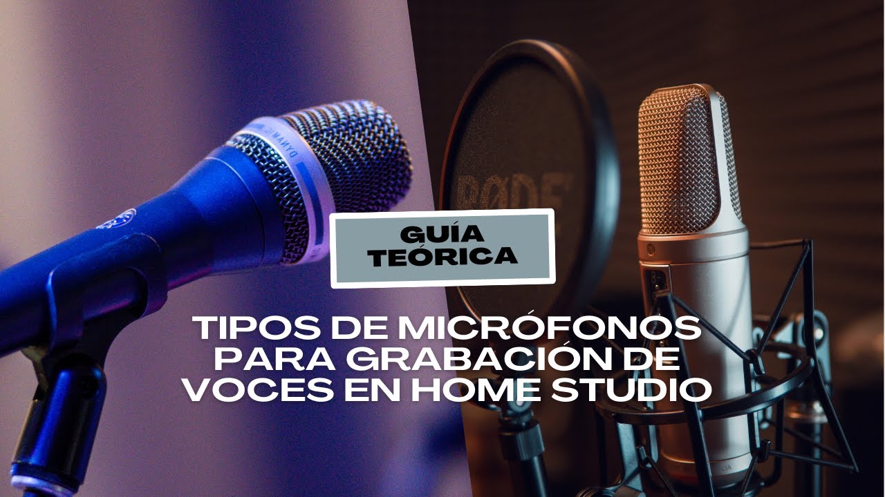 Tipos de Micrófonos: Dinámicos y Condensadores (Guía Teórica por Luis ...