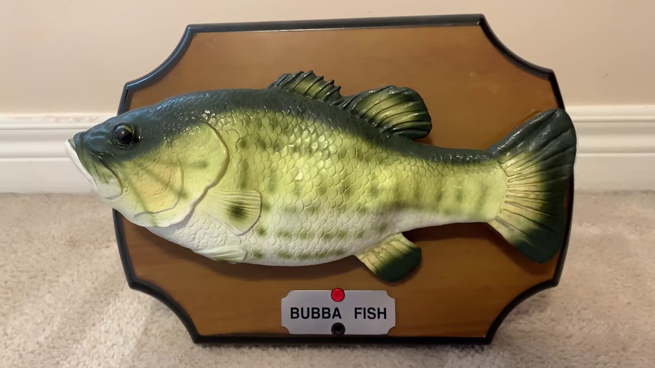 BUBBA FISH (Jiada Circuit Version) - YouTube