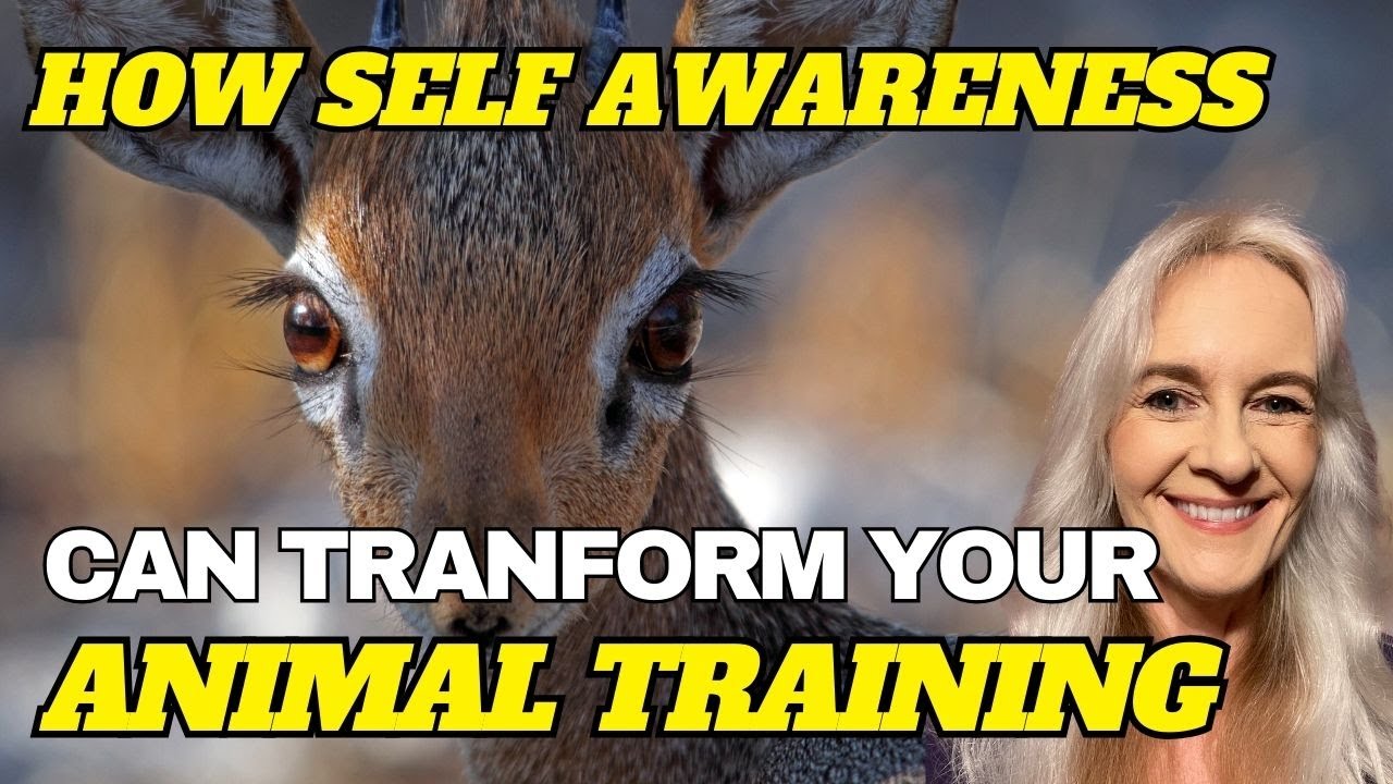 Animal Trainer Self-Awareness: Hidden Ways Trainers May Be Influencing ...