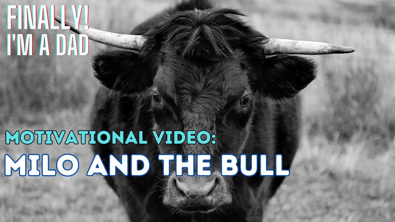 Infant to toddler: Milo and the Bull (Story) - YouTube