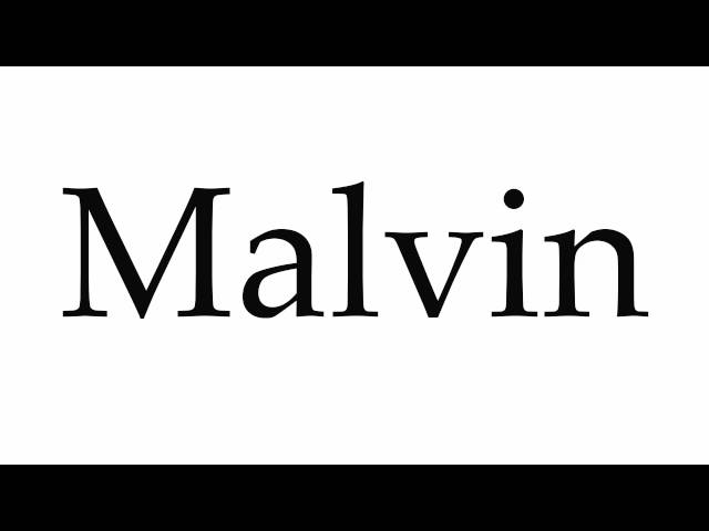 Malvin Logo Saykat Graphics
