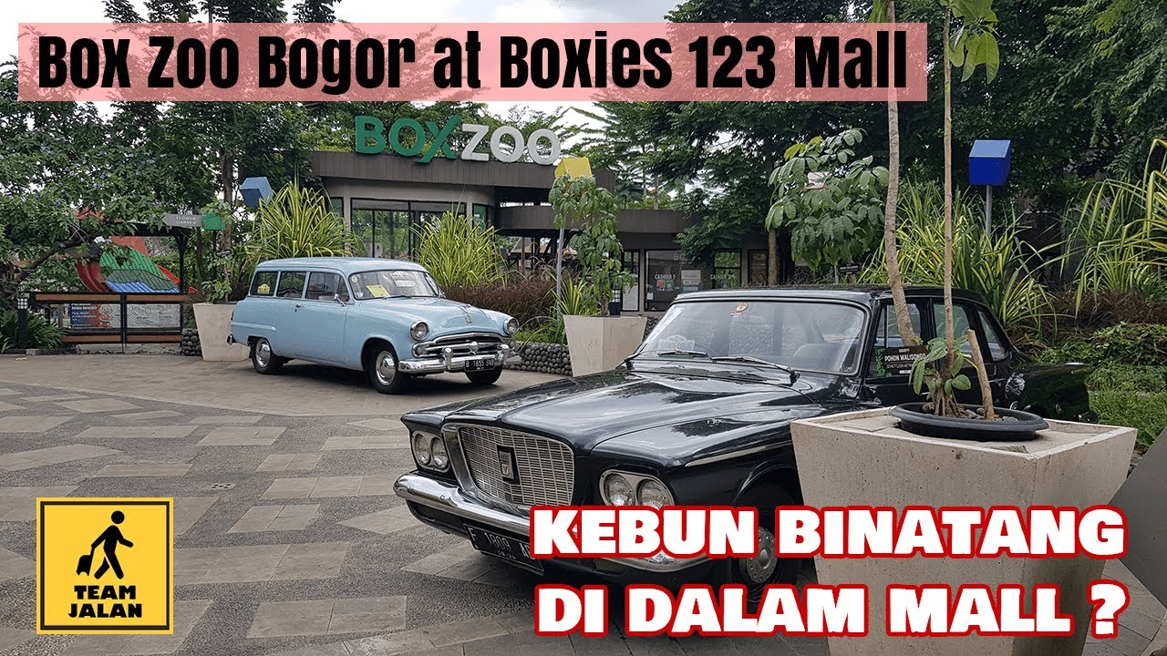 Box Zoo Bogor at Boxies 123 Mall - YouTube