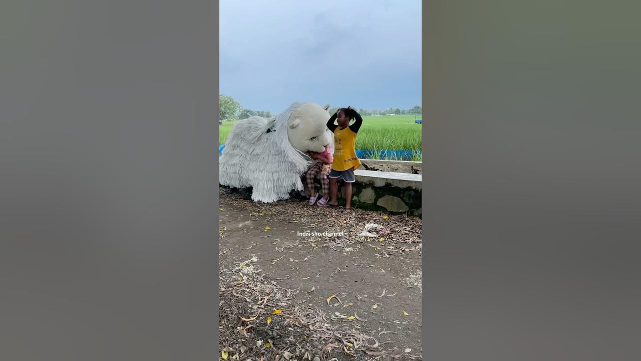 Cewek imut ini di makan can macanan - YouTube