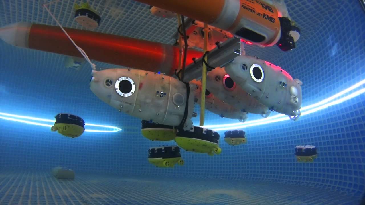 TYOC#50/52: OVERVIEW Scalability - YouTube