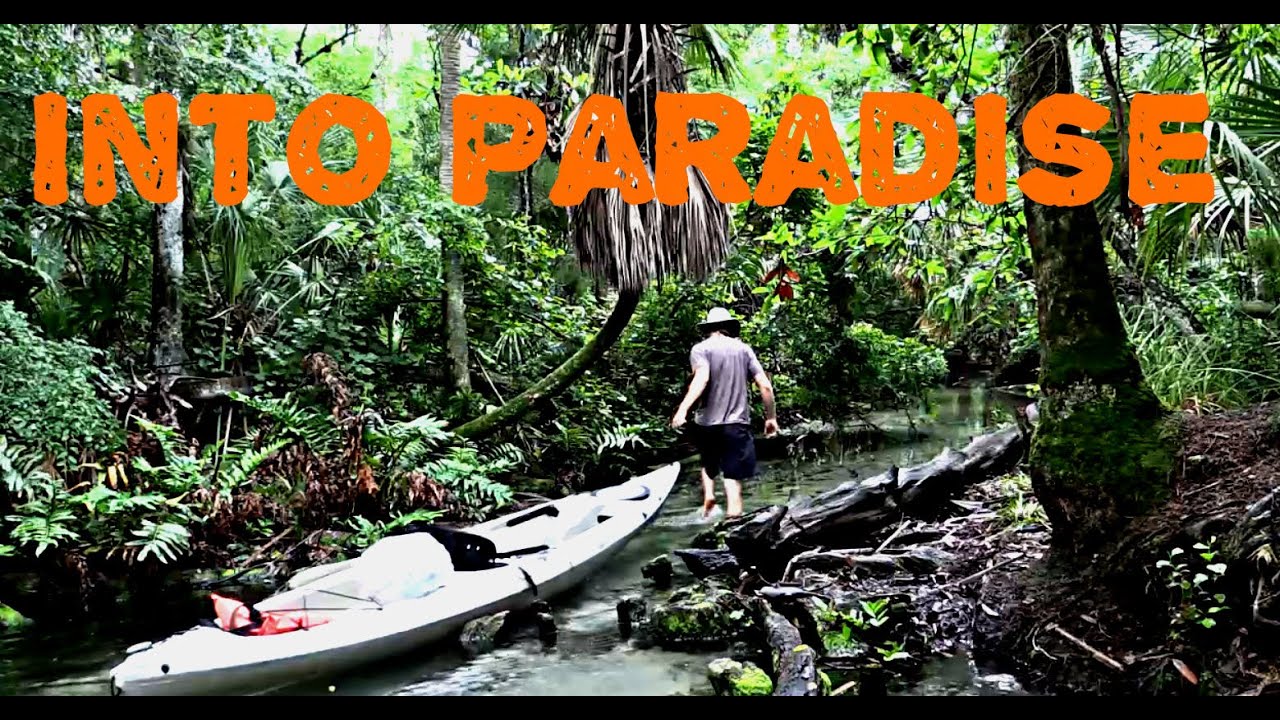 Getting Lost in Florida's Jungle Paradise | Primitive Tim does America ...