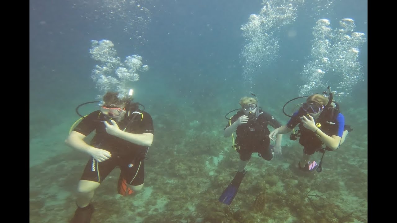 St Thomas Diving - Stragglers Rocks - YouTube