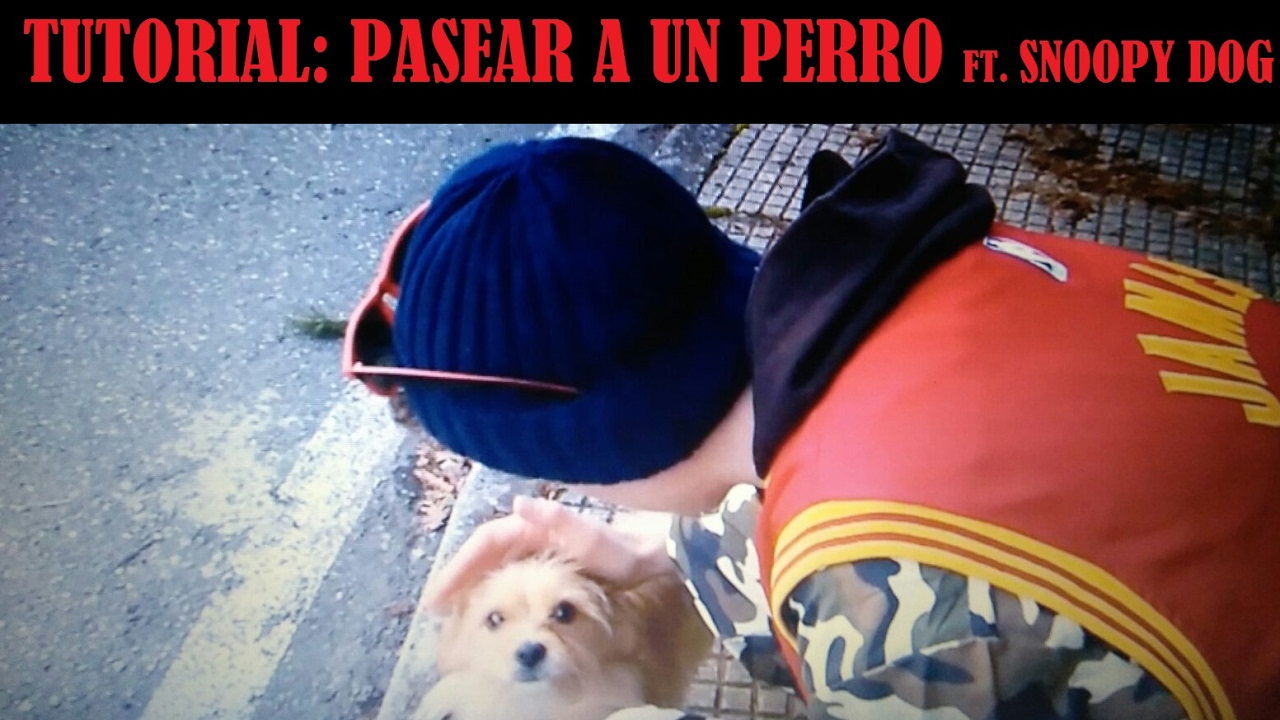 TUTORIAL: Como sacar de paseo a tu perro ft. Snoopy Dog - YouTube