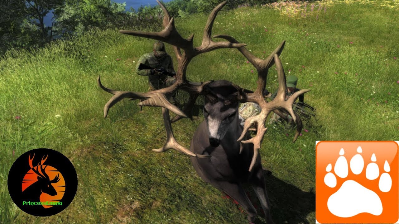 Thehunter Classic 312" Mule Deer Non-Typical Loggers Point 2019 (4K ...