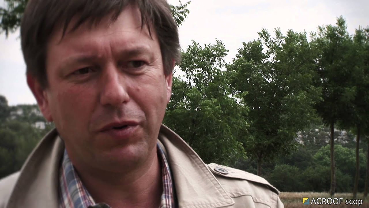 L'agriculture de conservation par Frédéric THOMAS - YouTube