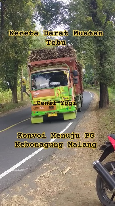 Konvoi Truk Gandeng Pengangkut Tebu Menuruni Jalur Lahor - YouTube