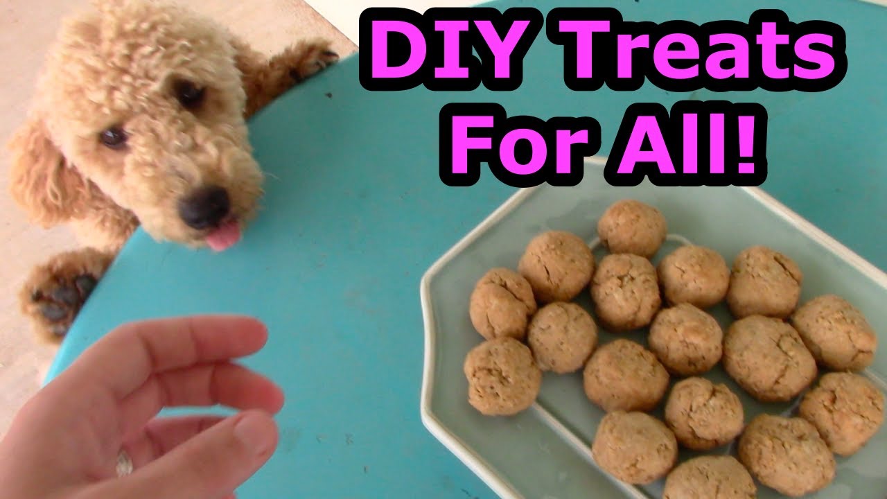 DIY Farm Treats for All! - YouTube