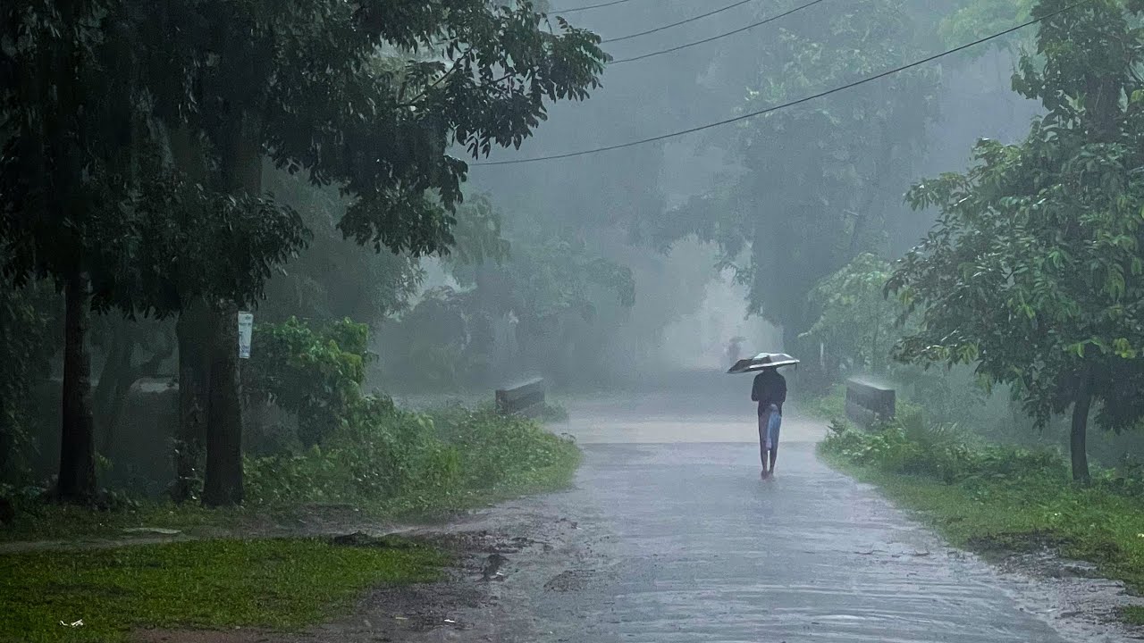 A walk into rain in Chittagong University Campus ⛈⛈🌧🌧☔️ - YouTube