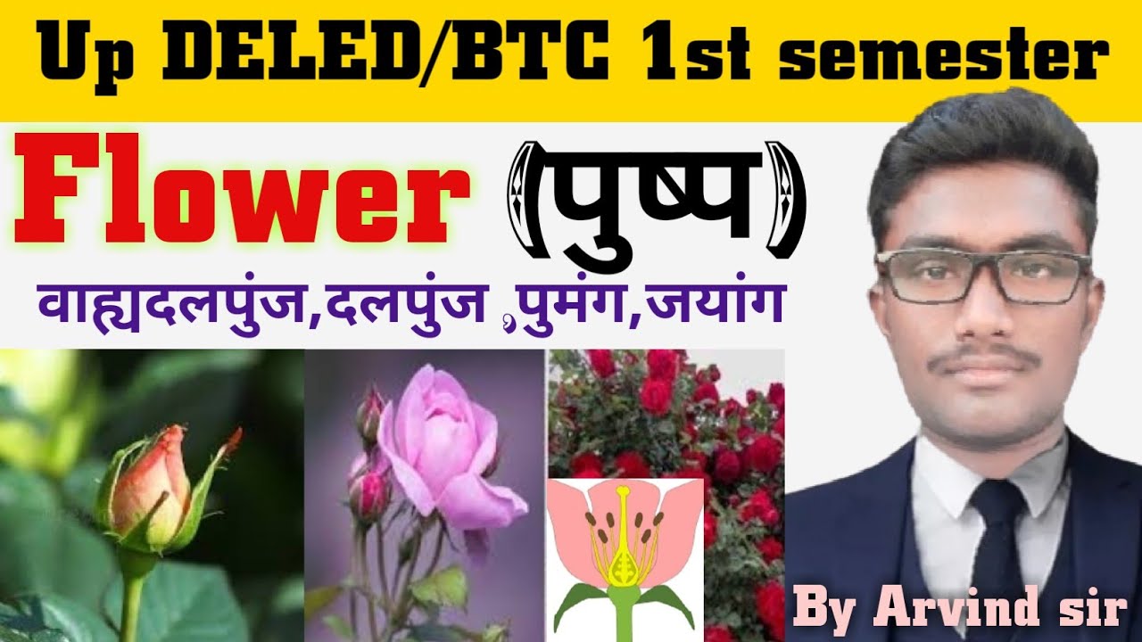 पुष्प के विभिन्न भाग|Part of flower|pusp ke ang|वाह्यदलपुंज,दलपुंज ...