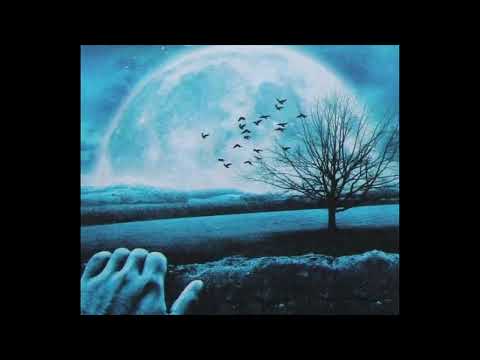 Tolga Burkay- Renk Körü 2008 (Full Albüm)