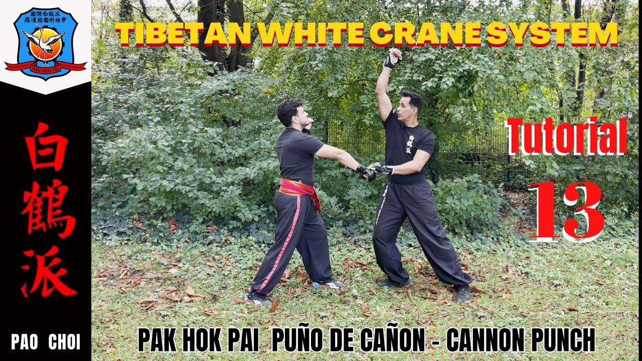 PAK HOK PAI PUÑO DE CAÑON | TIBETAN WHITE CRANE | GRULLA BLANCA | LION ...