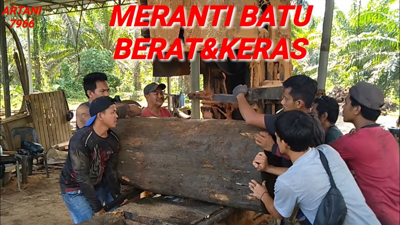 Amazing sawmill wood..MERANTI BATU KERAS DAN BERAT BUTUH TENAGA FULL ...