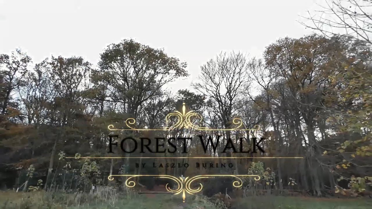 Laszlo Buring - Forest Walk - YouTube