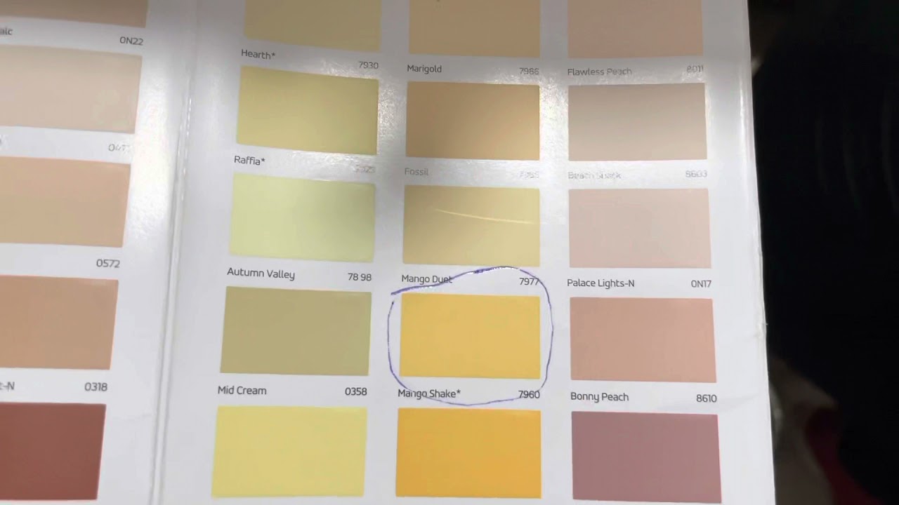 Best colour for wall combination | Mango shake colour | asianpaints ...